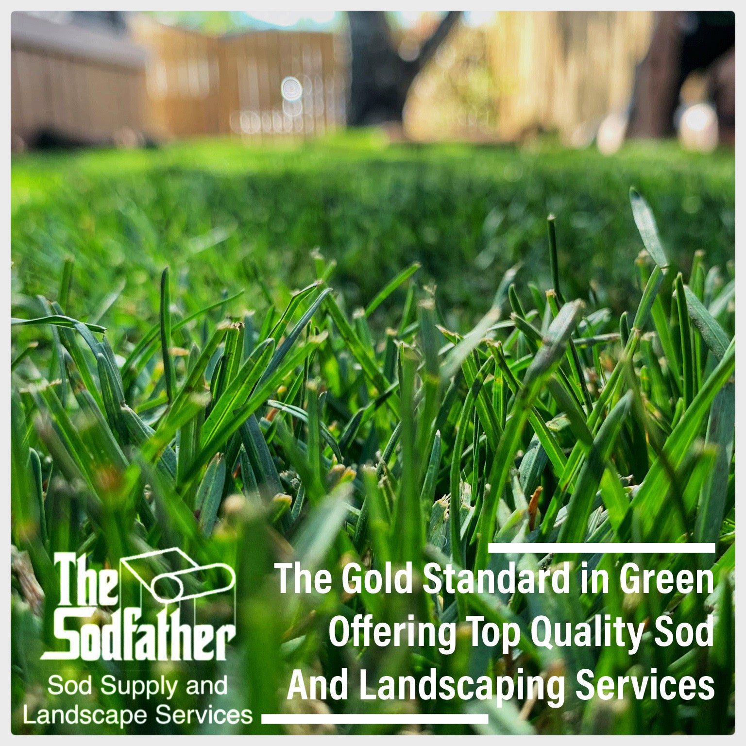 Sodfather Sod Supply – The Sodfather Sod Supply