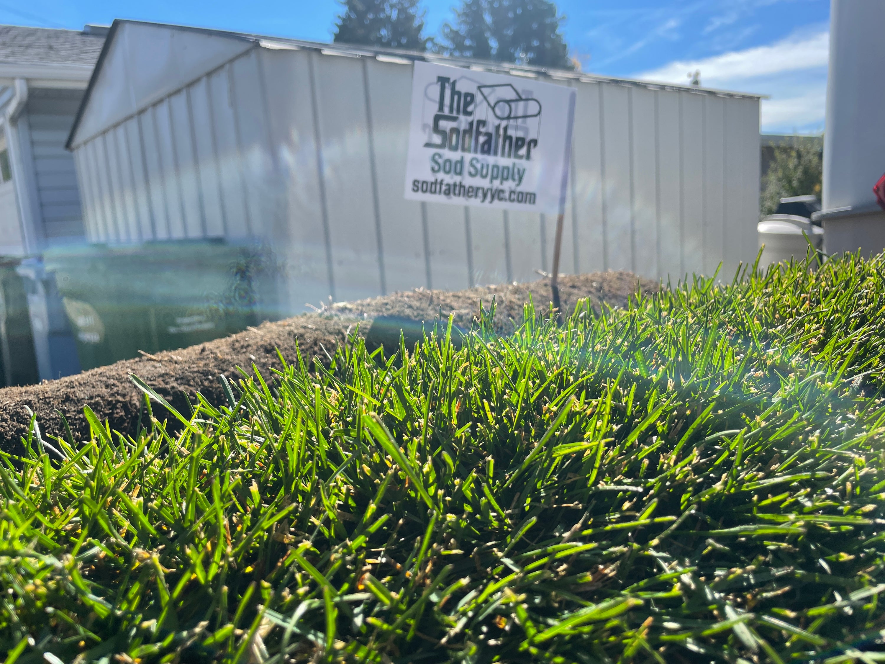 Contact Us for a Free Landscaping Quotation – The Sodfather Sod Supply